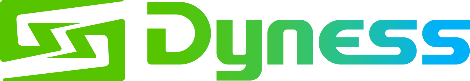 Dyness Inverters | BFO Solar